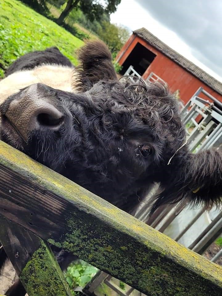 Acorn Farm - Liverpool Business News